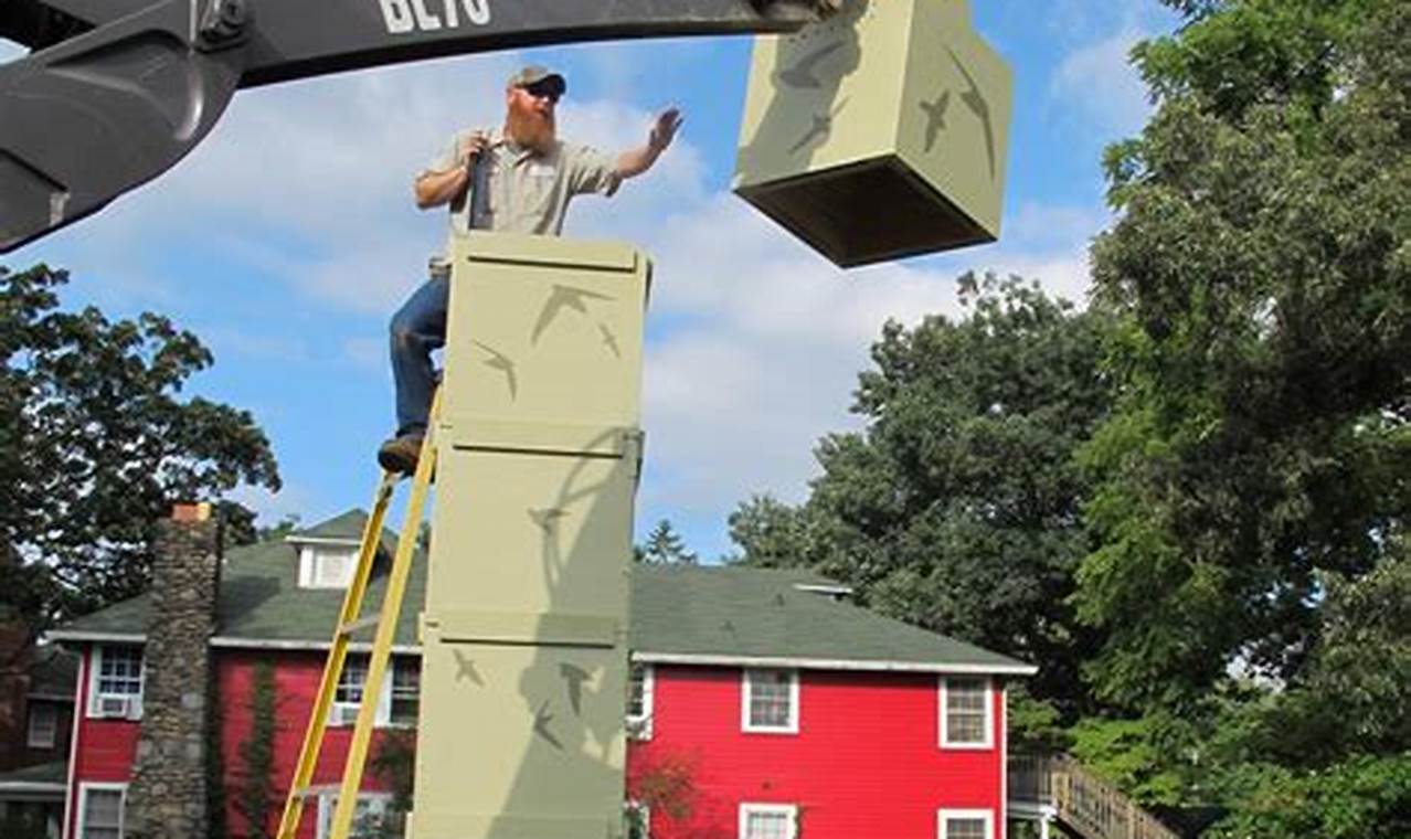 Build Swift Towers: Chimney Wonders for Birds